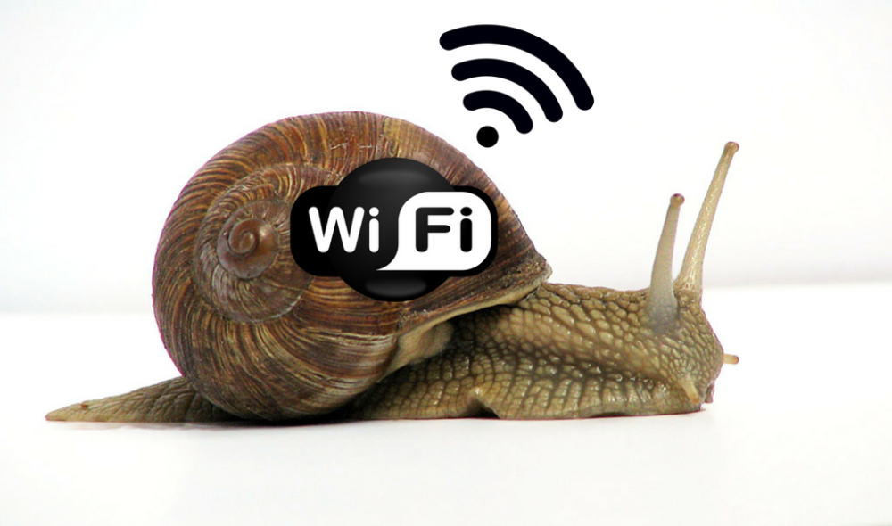 It's Not You, It's Your Horrible Wi-Fi. – SignalVault